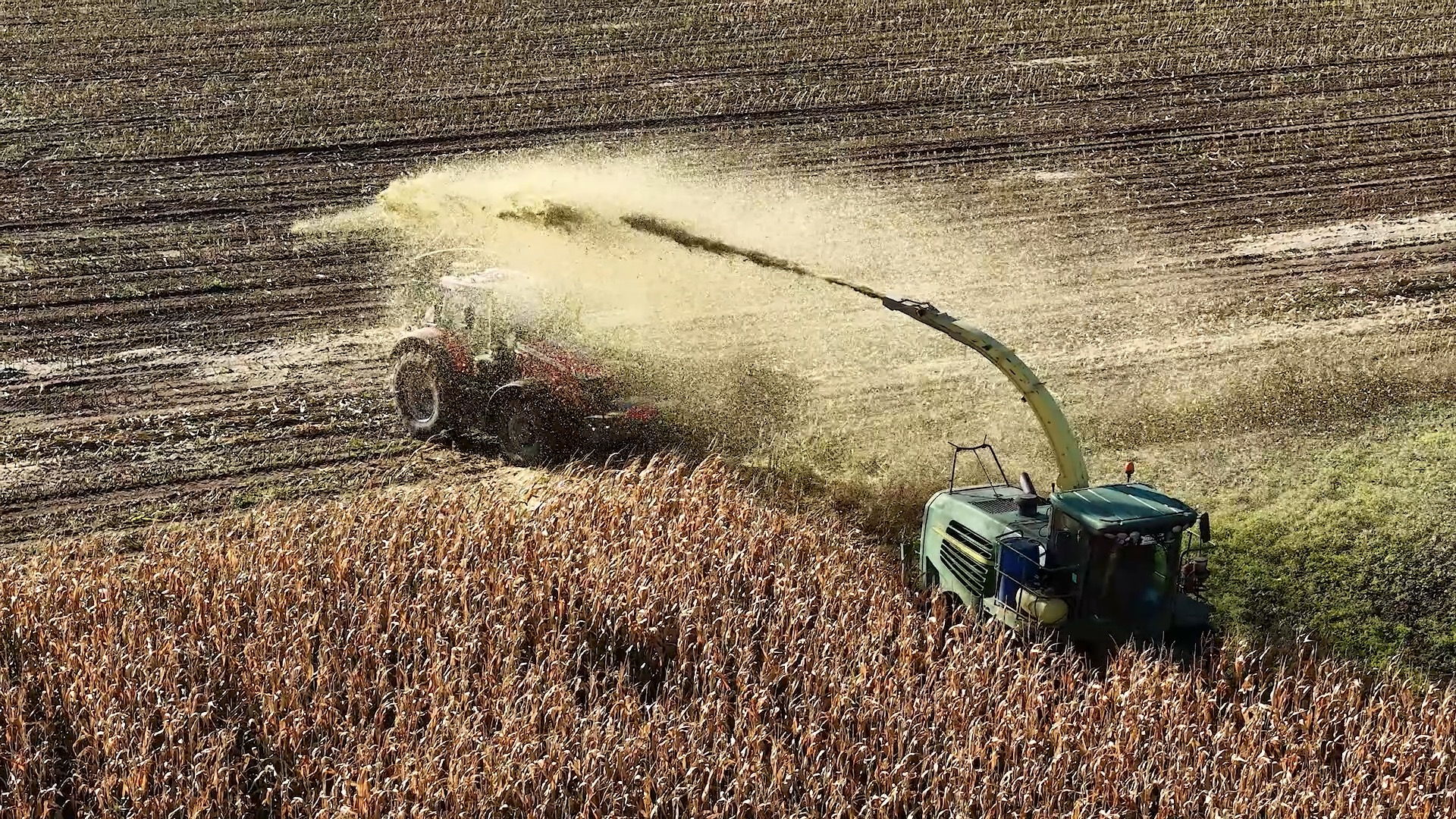 Pienas „karvei ant liežuvio“. Modernus pieno ūkis Ginkūnuose – Agro Žmonės